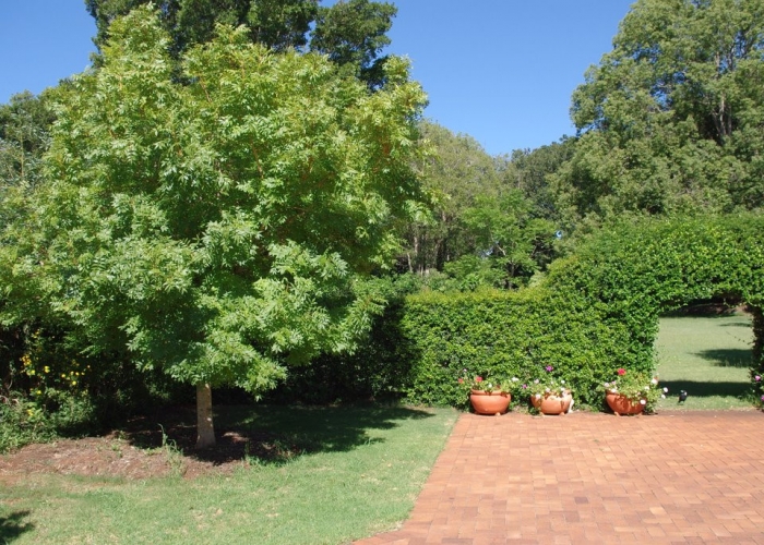 Toowoomba Tree Farms